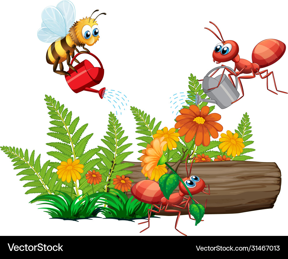 Insects watering plant on white background Vector Image