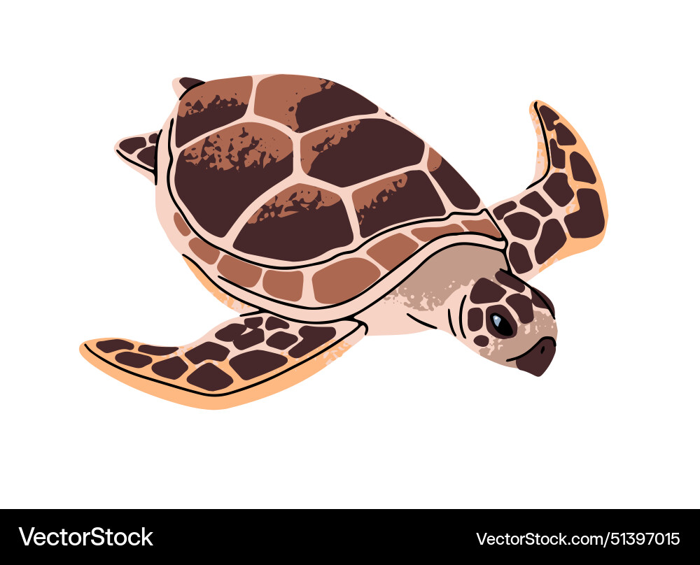 Green or loggerhead sea turtle with ornamented Vector Image