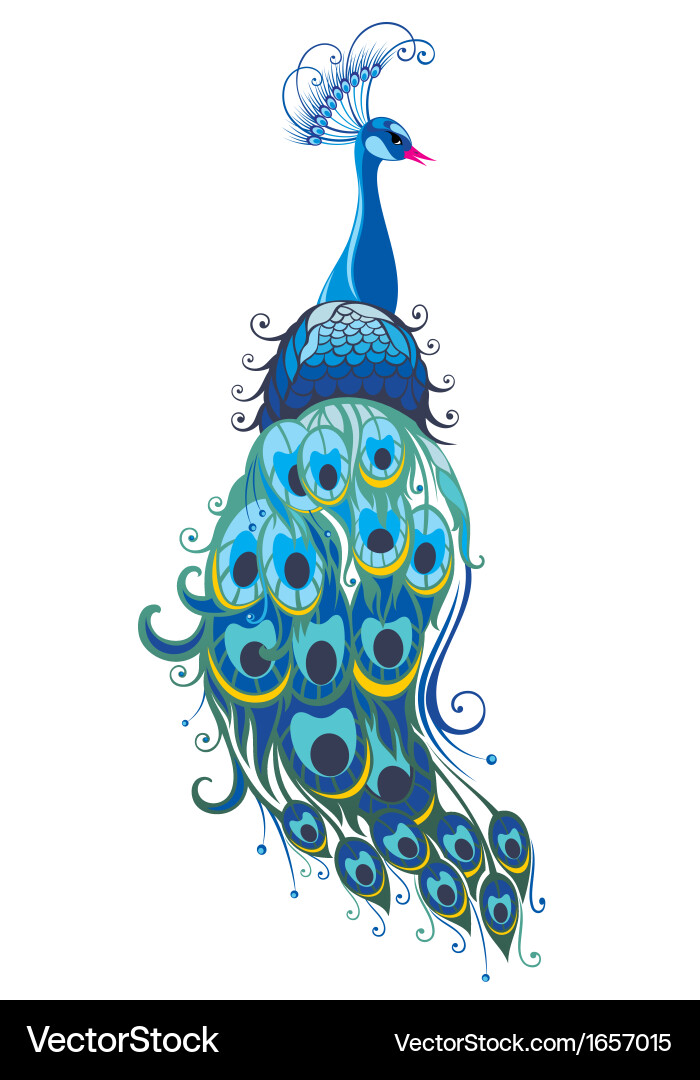Peacock Royalty Free Vector Image - VectorStock