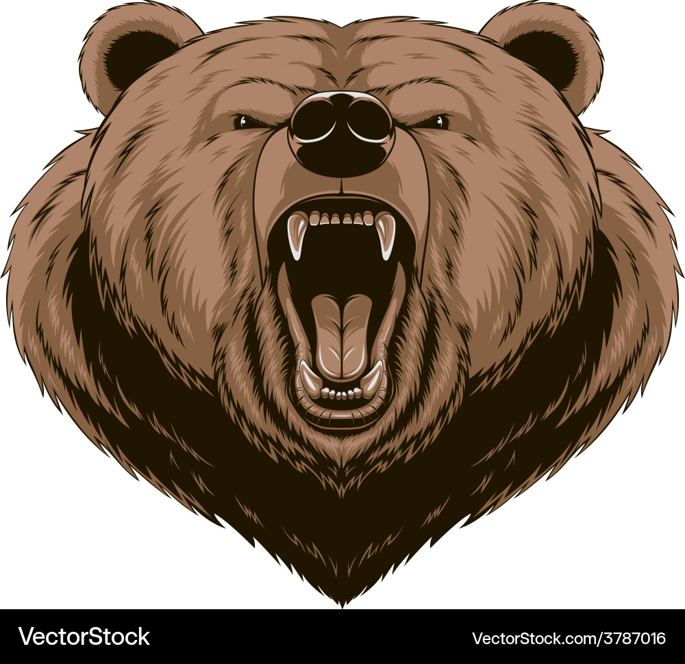 Aggressive Bear Head Royalty Free Vector Image