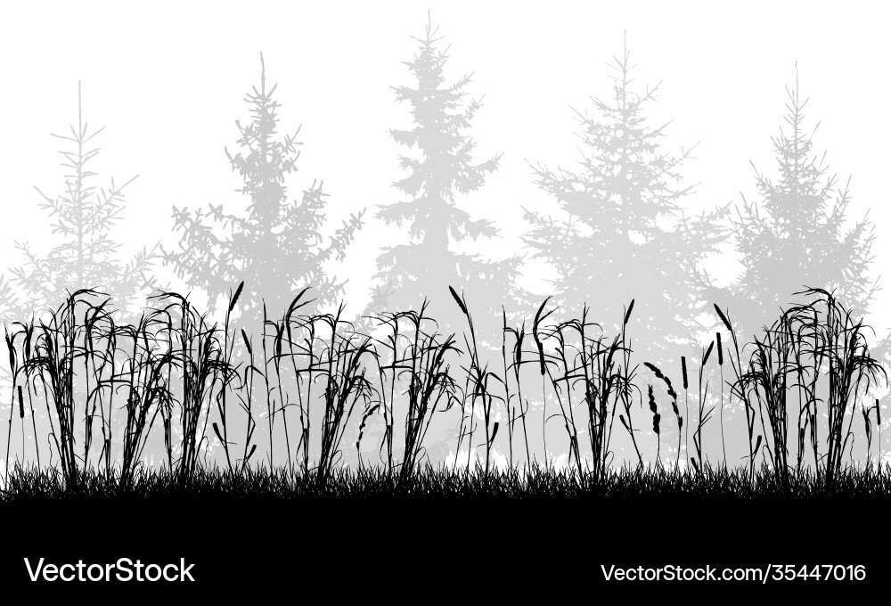 Silhouette grassland on background fir Royalty Free Vector