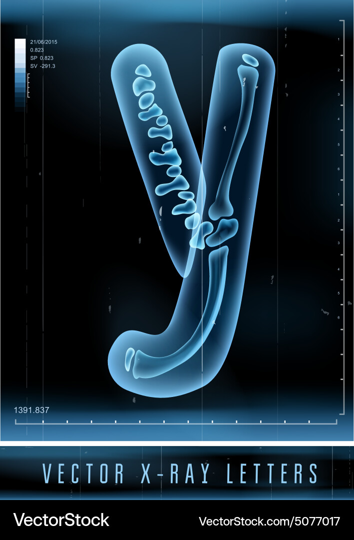 Blue 3d x ray style alphabet Royalty Free Vector Image