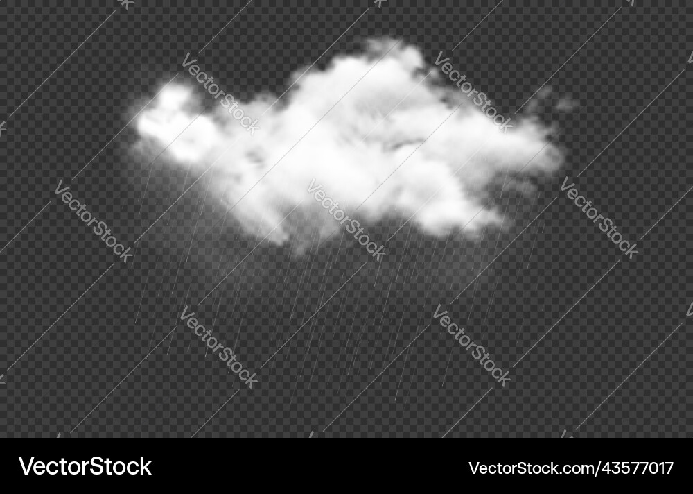 Realistic rain cloud with drops 3d raincloud Vector Image