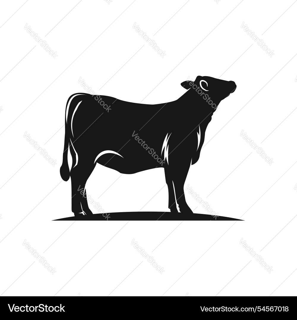 Angus show Royalty Free Vector Image - VectorStock