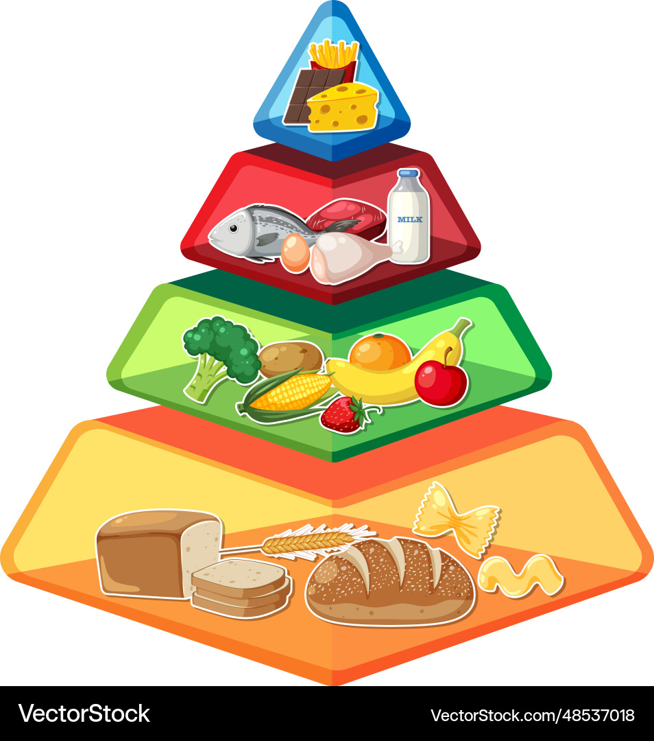 Food Pyramid Clipart