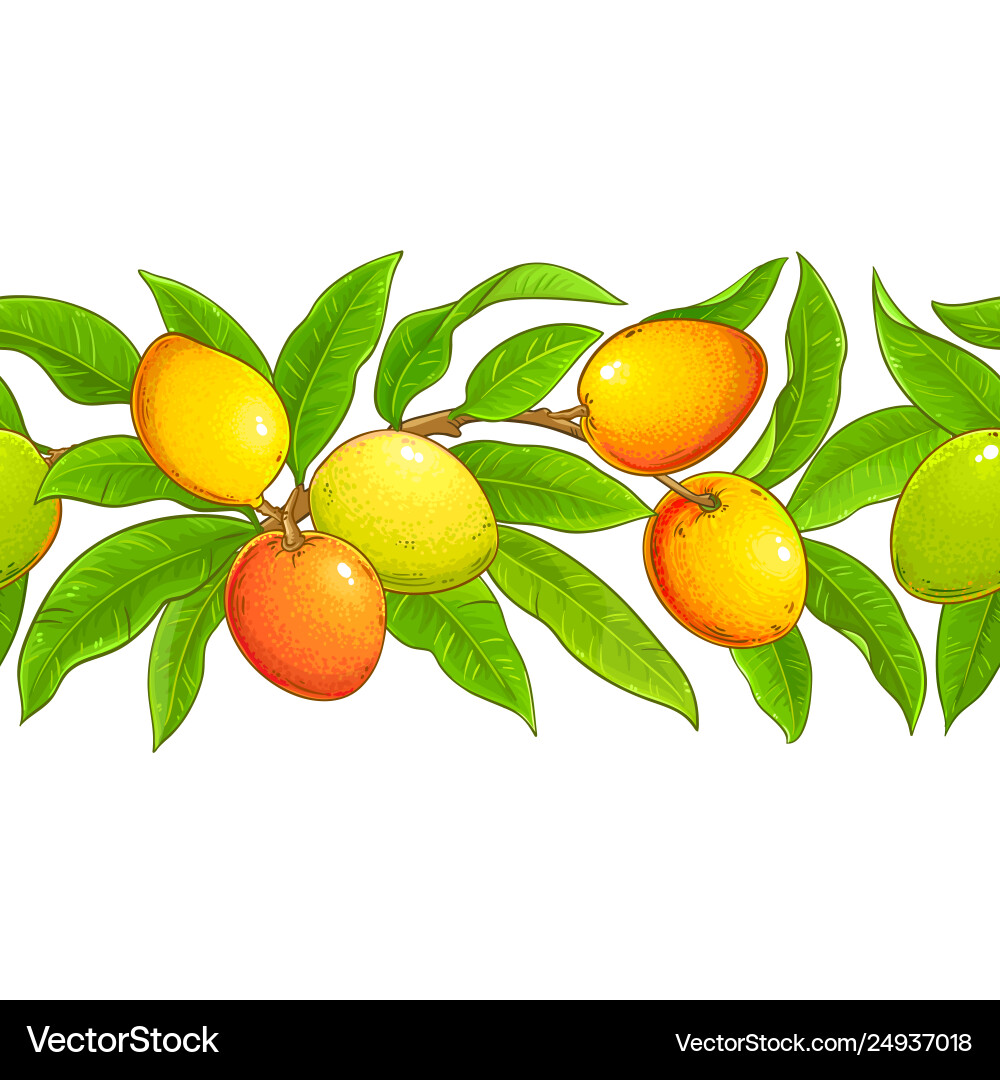 Mango branches pattern on white background Vector Image