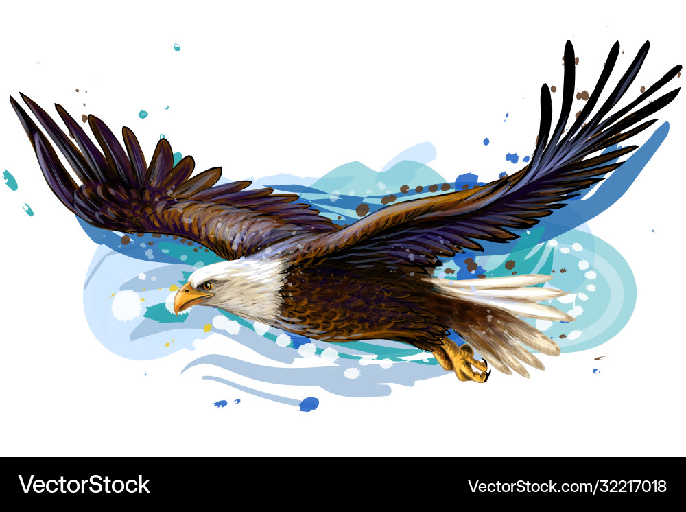 Soaring Eagle Drawing Vector Images (over 1,300)