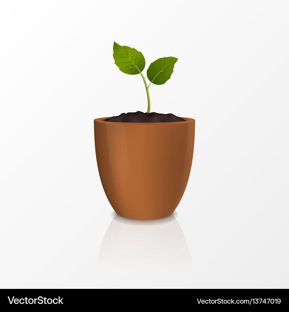 Growth concept design template Royalty Free Vector Image