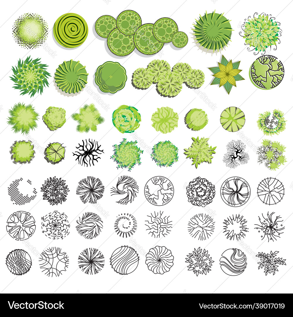 Trees and bush item top view for landscape design Vector Image