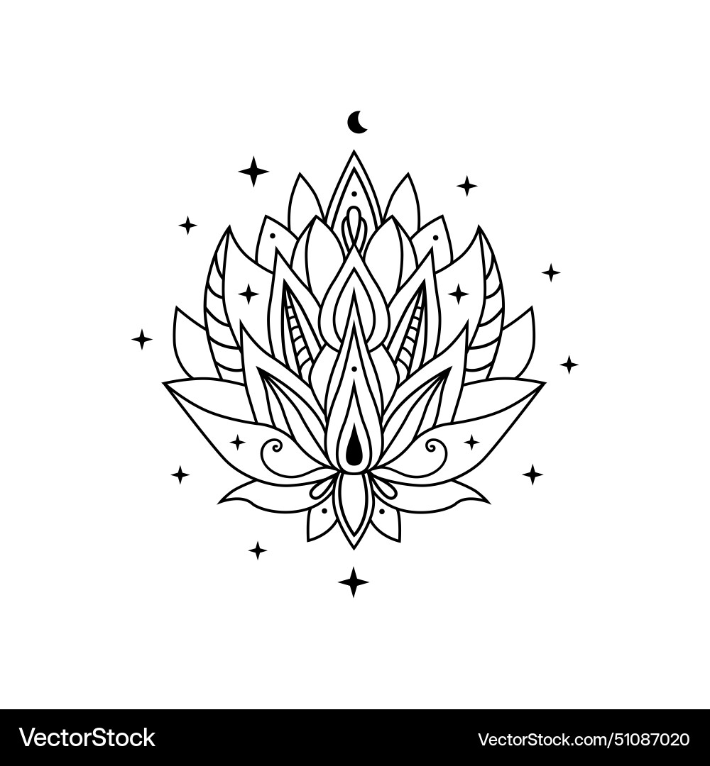 Black lotus flower blooming Royalty Free Vector Image