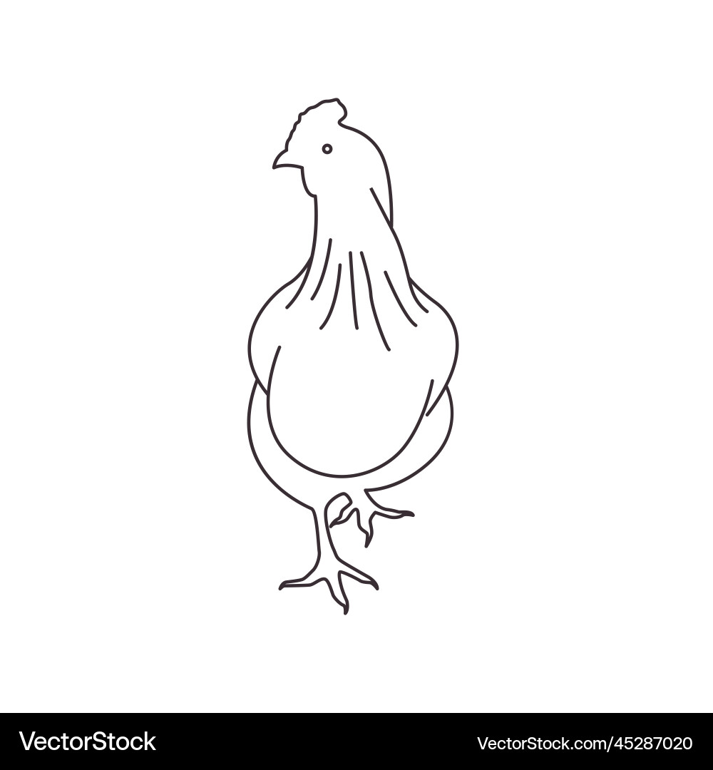 Hen walk line icon logo Royalty Free Vector Image