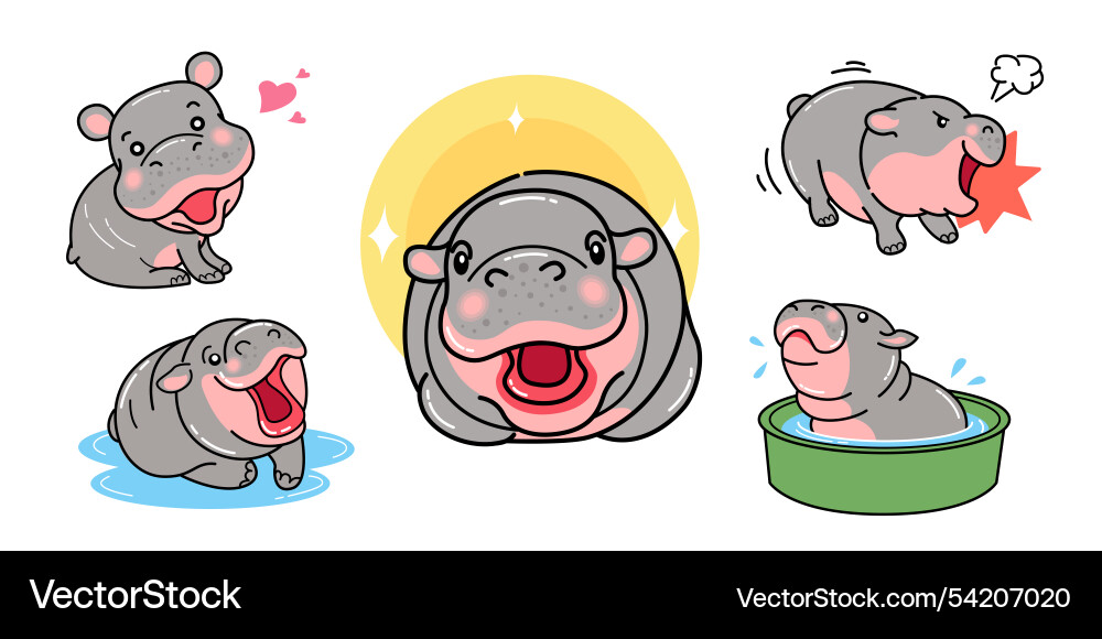 Hippo cartoon hippopotamus characters Royalty Free Vector