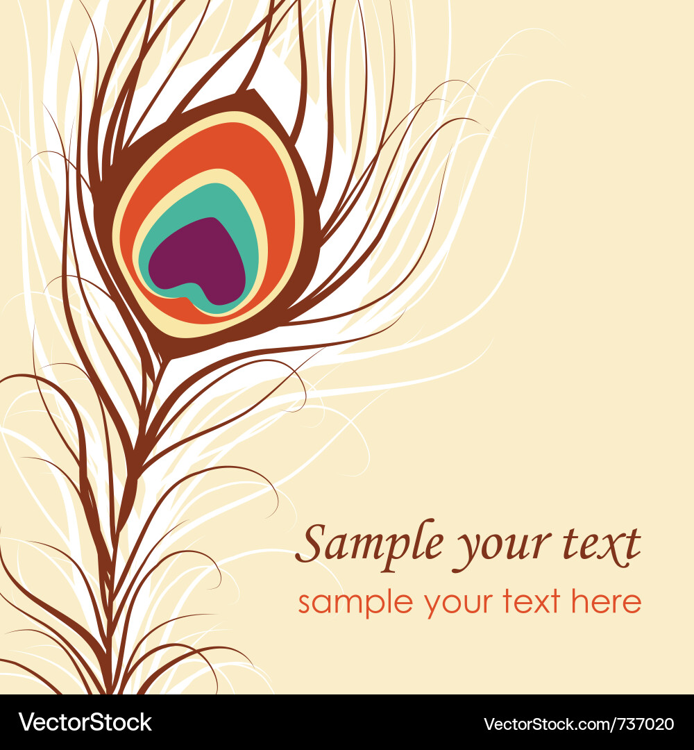 Peacock feather Royalty Free Vector Image - VectorStock