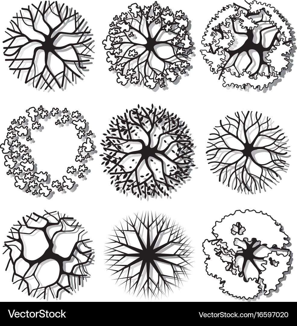 Tree Top Collection Royalty Free Vector Image - VectorStock