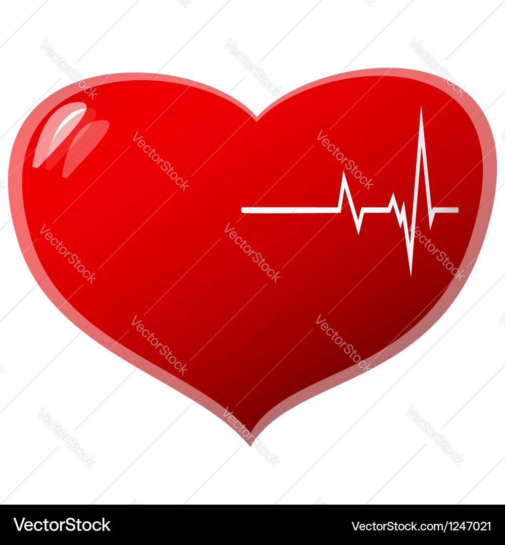 Beating heart Royalty Free Vector Image - VectorStock