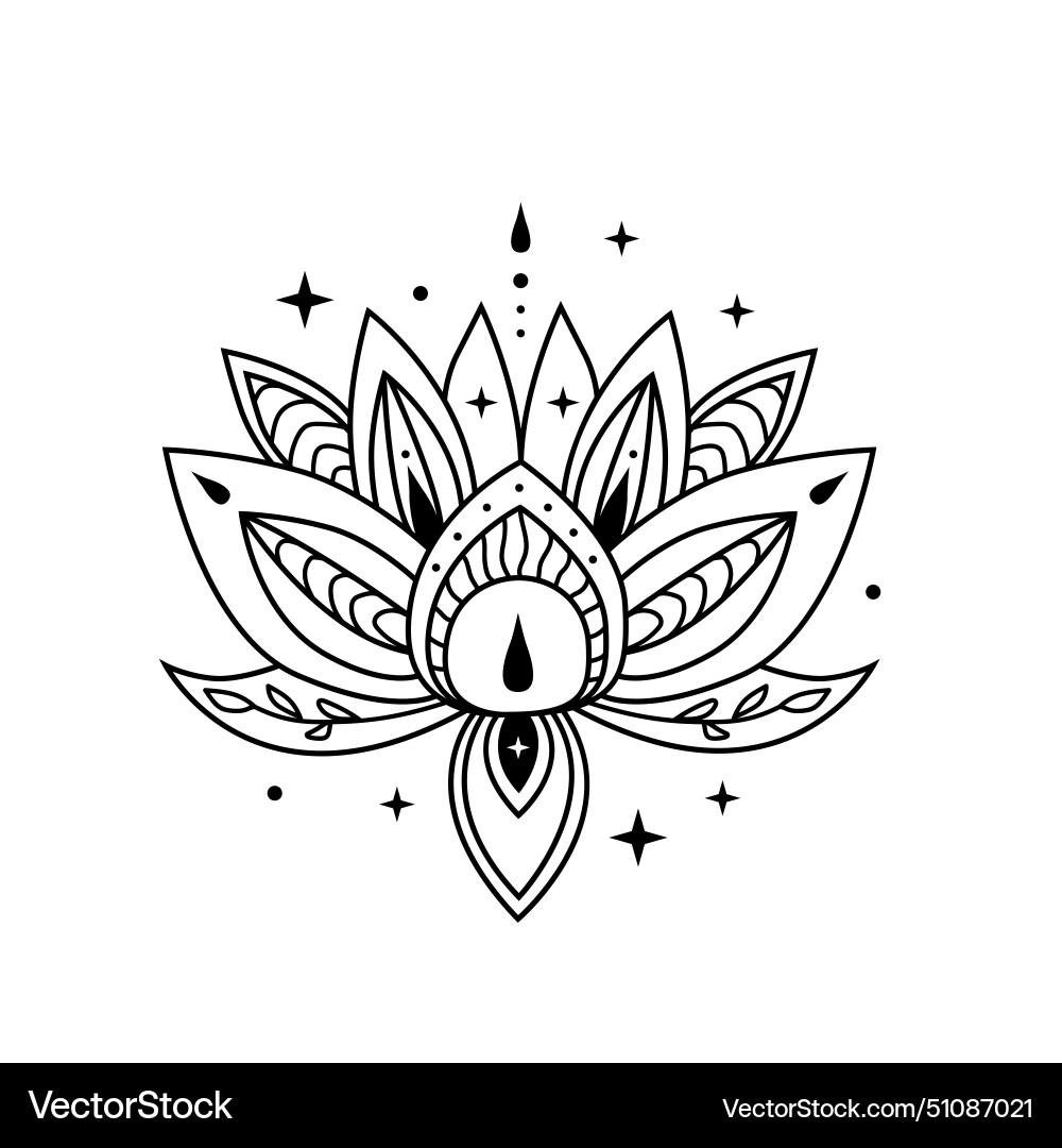 Black lotus flower blooming Royalty Free Vector Image