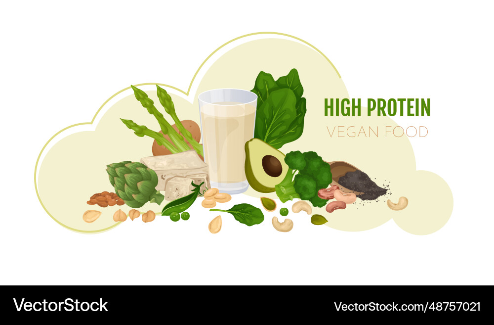 High protein food composition Royalty Free Vector Image