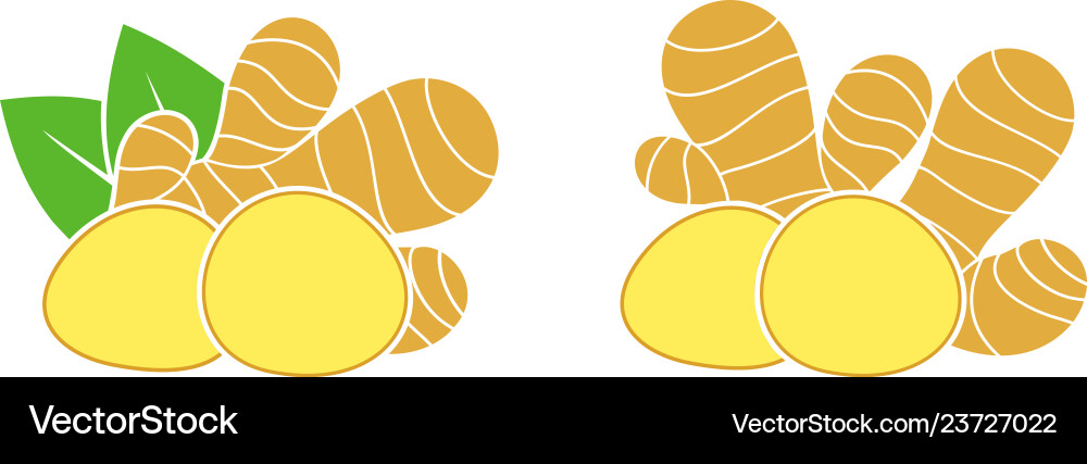 Ginger logo Royalty Free Vector Image - VectorStock