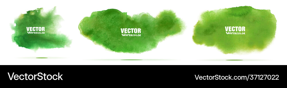 Green hand drawn watercolor background set Vector Image