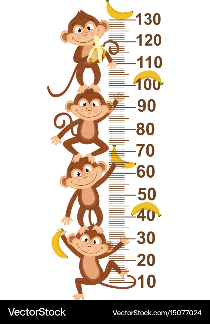 Monkey Growth Chart Royalty Free Vector Image - VectorStock