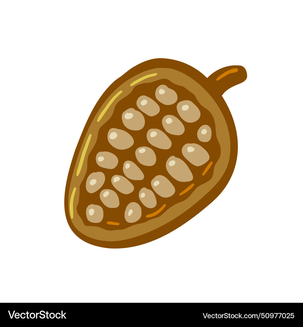 Cocoa beans Royalty Free Vector Image - VectorStock