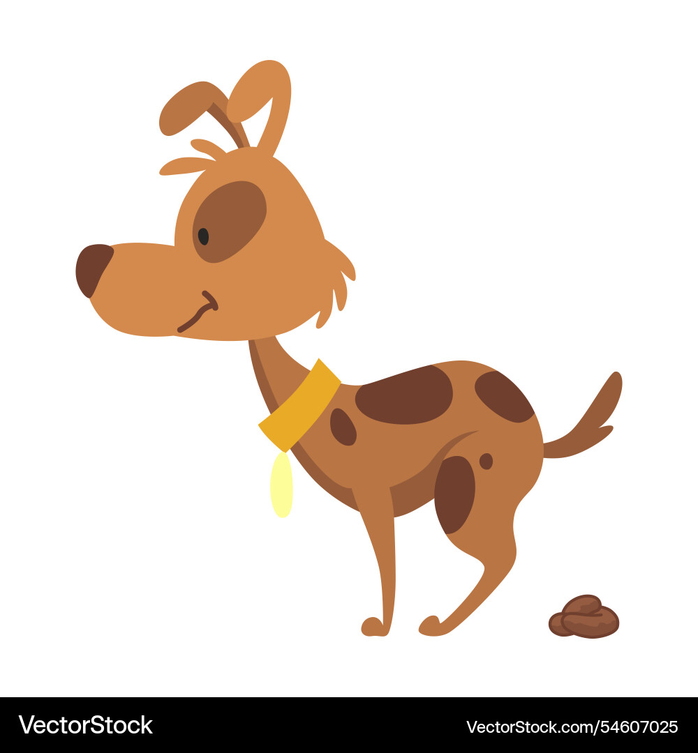 Dog poo clean up one step infographic Royalty Free Vector