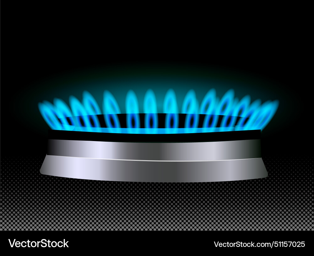 Gas stove light Royalty Free Vector Image - VectorStock