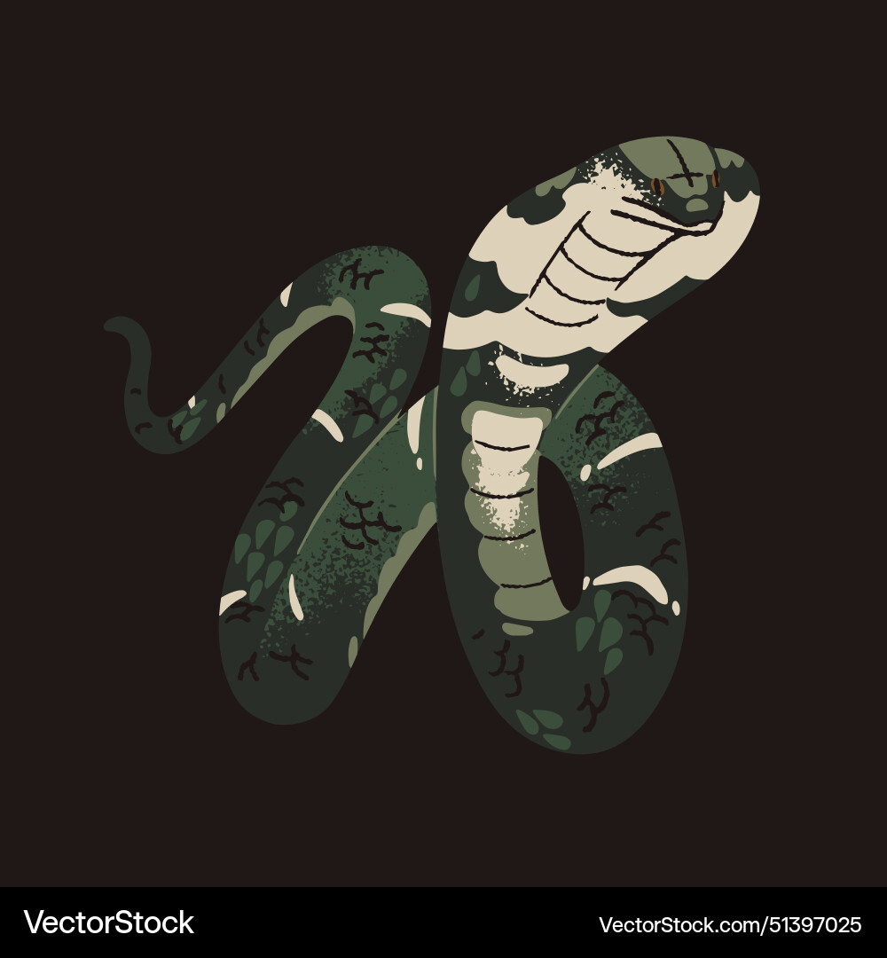 King cobra with extended hood in attack posture Vector Image