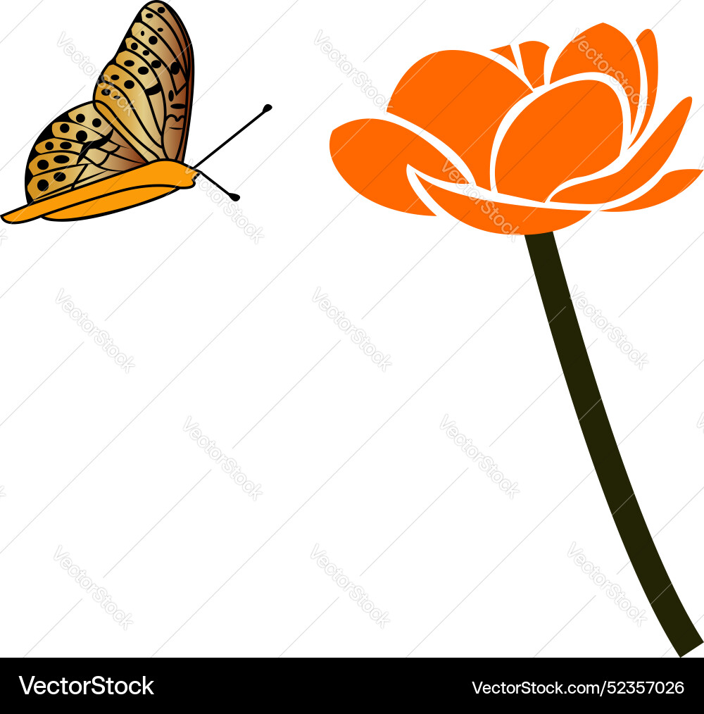 Butterfly on flower Royalty Free Vector Image - VectorStock