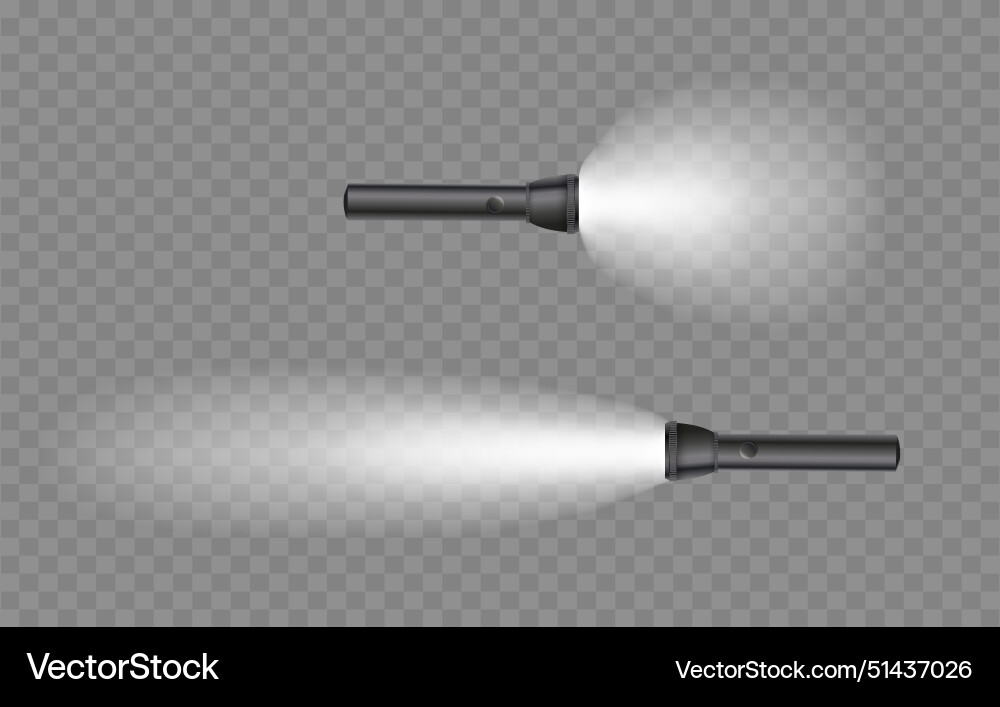 Flashlight on a transparent background shine Vector Image