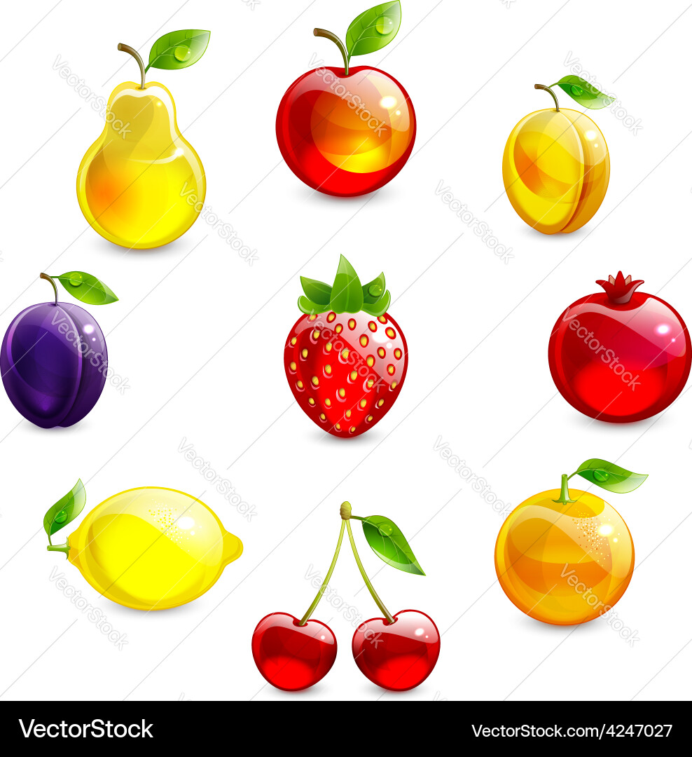 Fruit set Royalty Free Vector Image - VectorStock