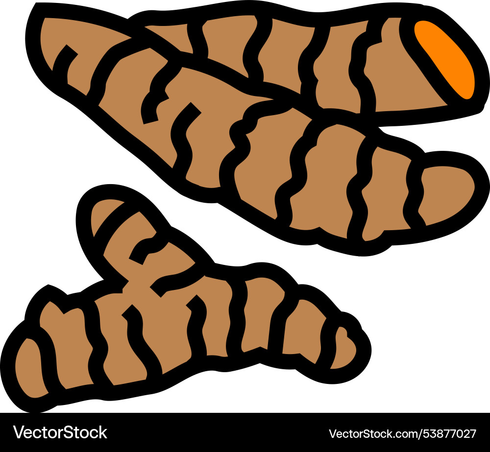 Turmeric root ayurvedic herb color icon Royalty Free Vector