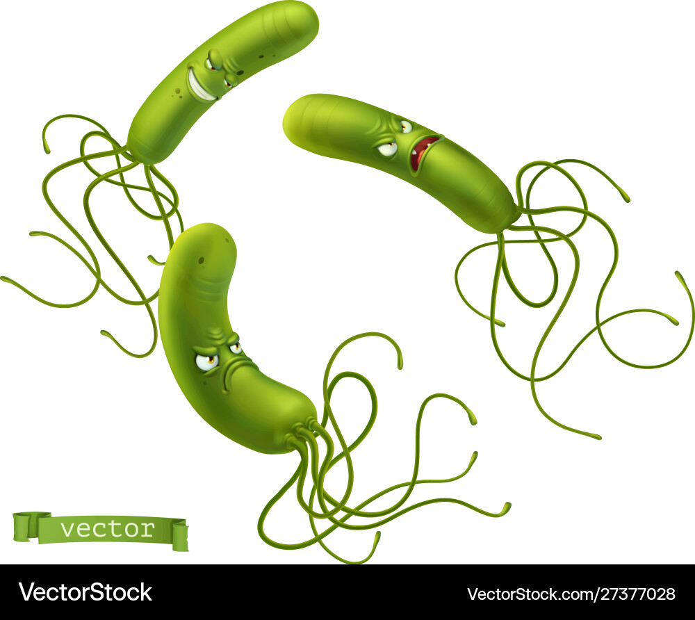 Gastritis Cartoon Helicobacter Vector Images (65)