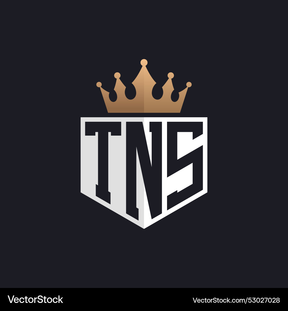Luxury tns logo with crown elegant initials Vector Image