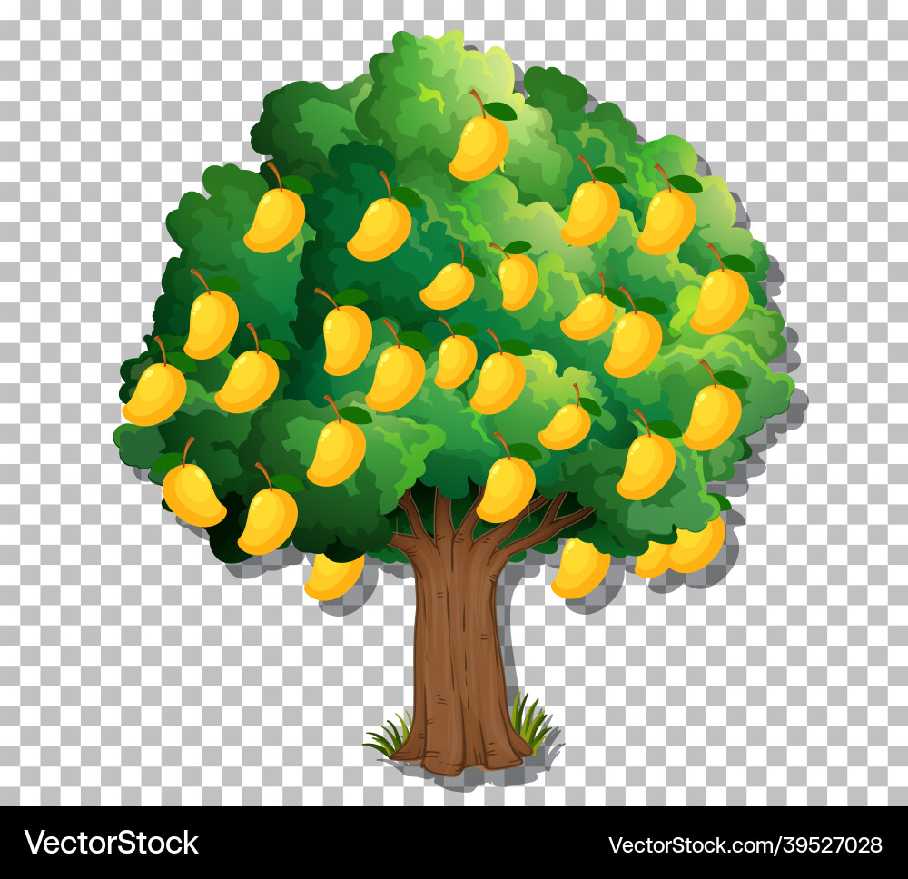 Mango tree on transparent background Royalty Free Vector