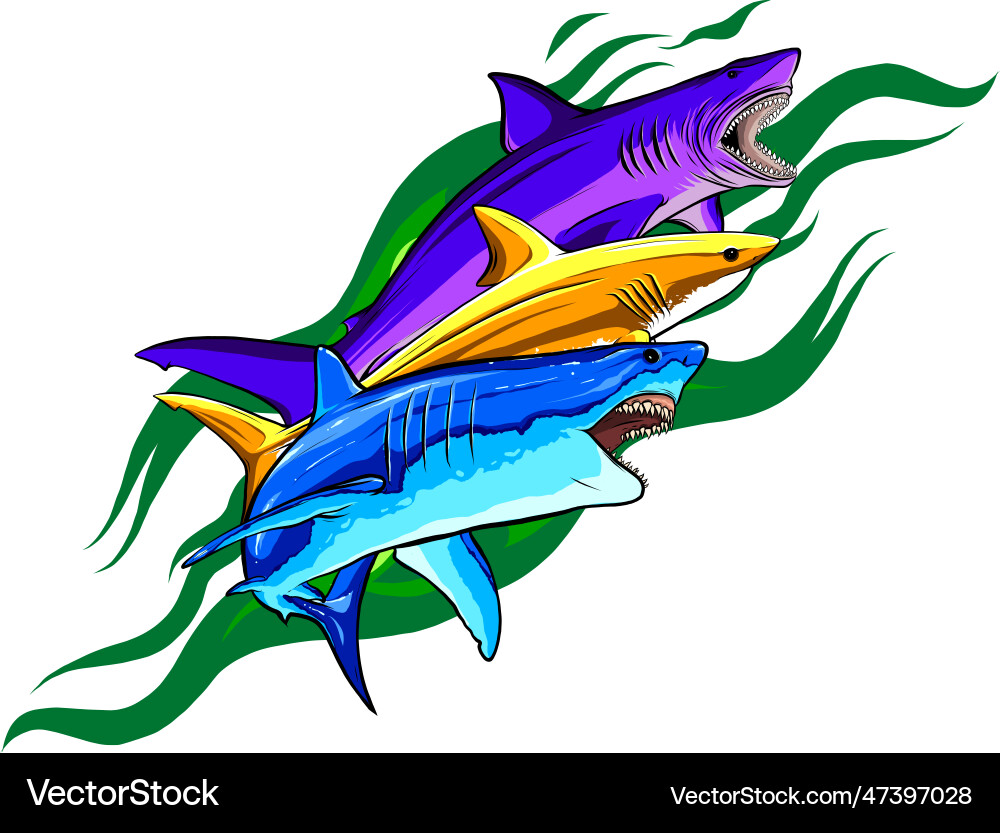 Sharks on white background Royalty Free Vector Image