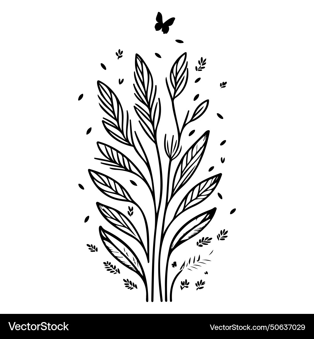 Spring grass leaf easter butterfly sketch hand Vector Image