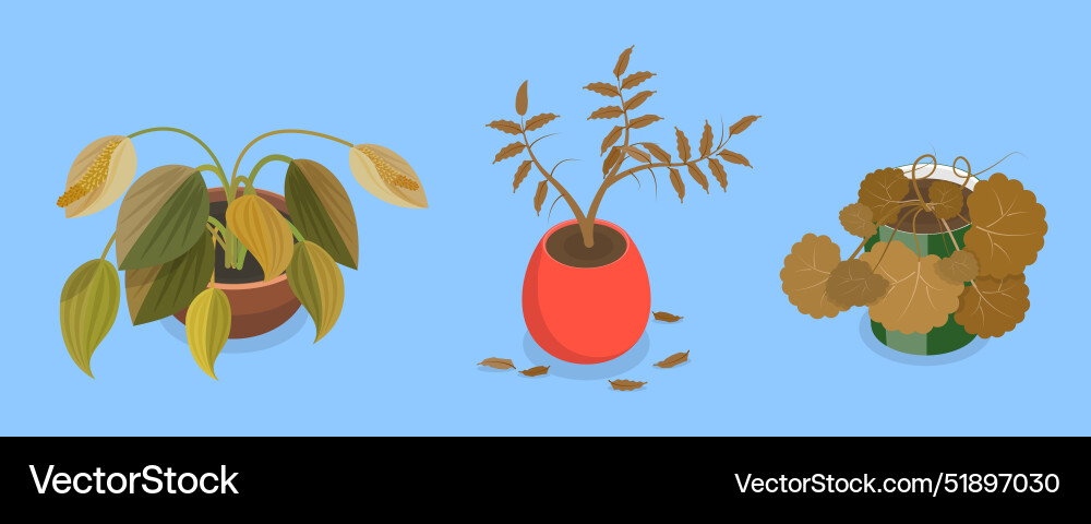 Plant Wilt Vector Images (over 390)
