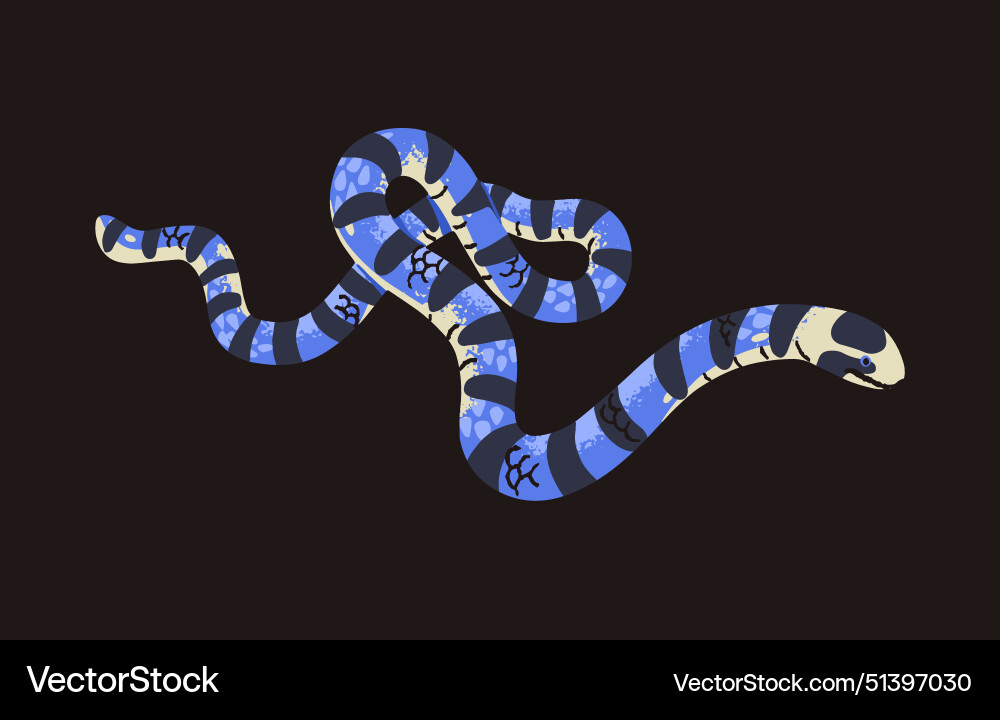 Belcher sea snake malayan blue krait deadly Vector Image