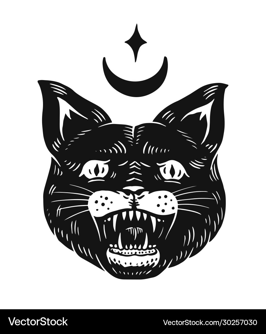 Black witch cat evil scary mystical animal Vector Image