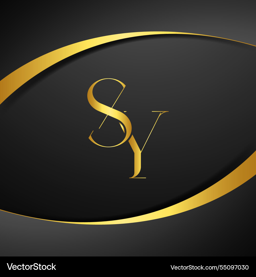 Sy luxury letter logo Royalty Free Vector Image