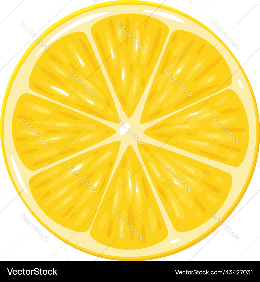Half yellow lemon Royalty Free Vector Image - VectorStock