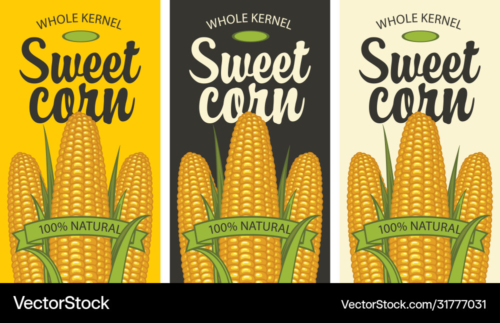 Set labels for sweet corn in retro style Vector Image