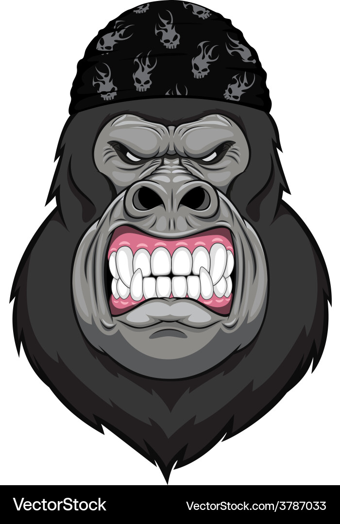 Angry gorilla head Royalty Free Vector Image - VectorStock