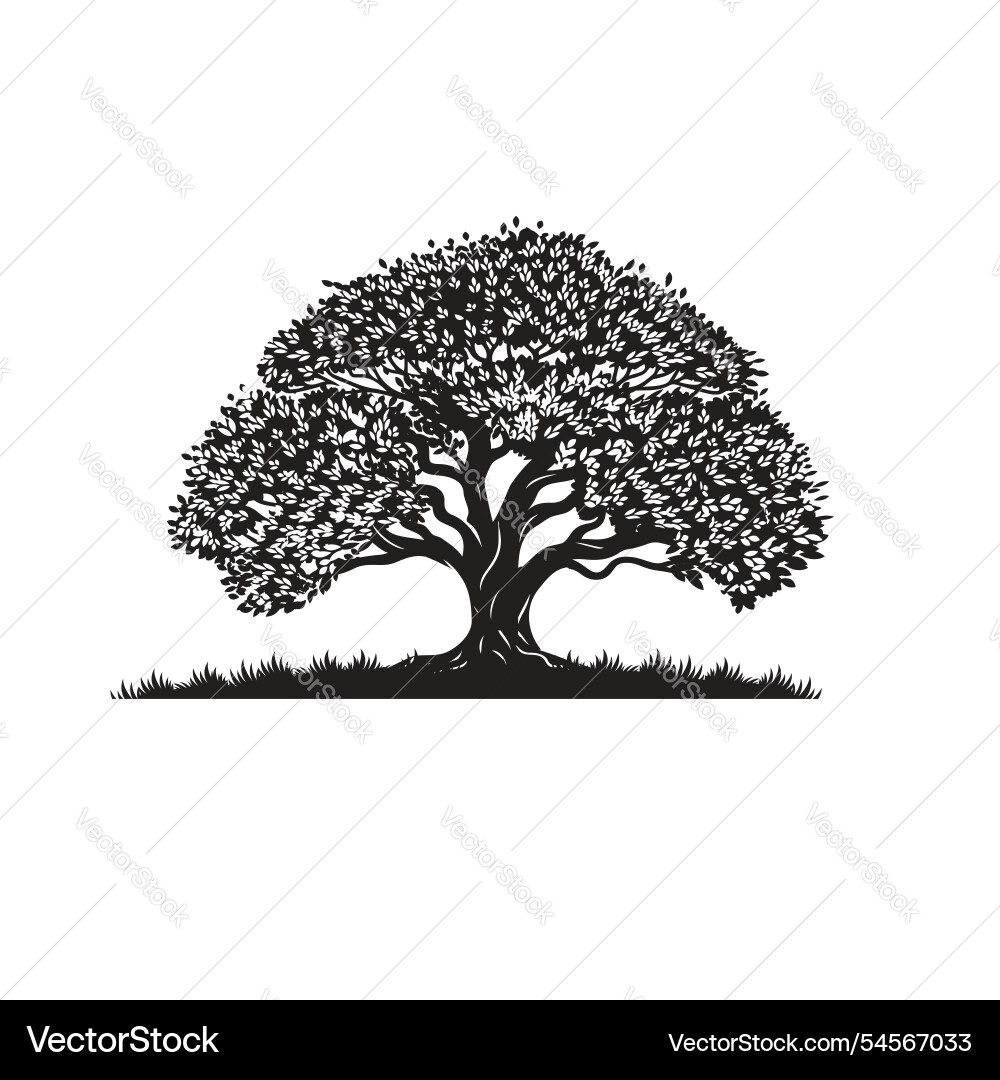 Hand-drawn oak tree artwork Royalty Free Vector Image