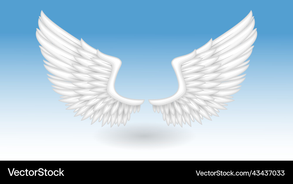 Angel Angle Wings Vector Images (over 210)