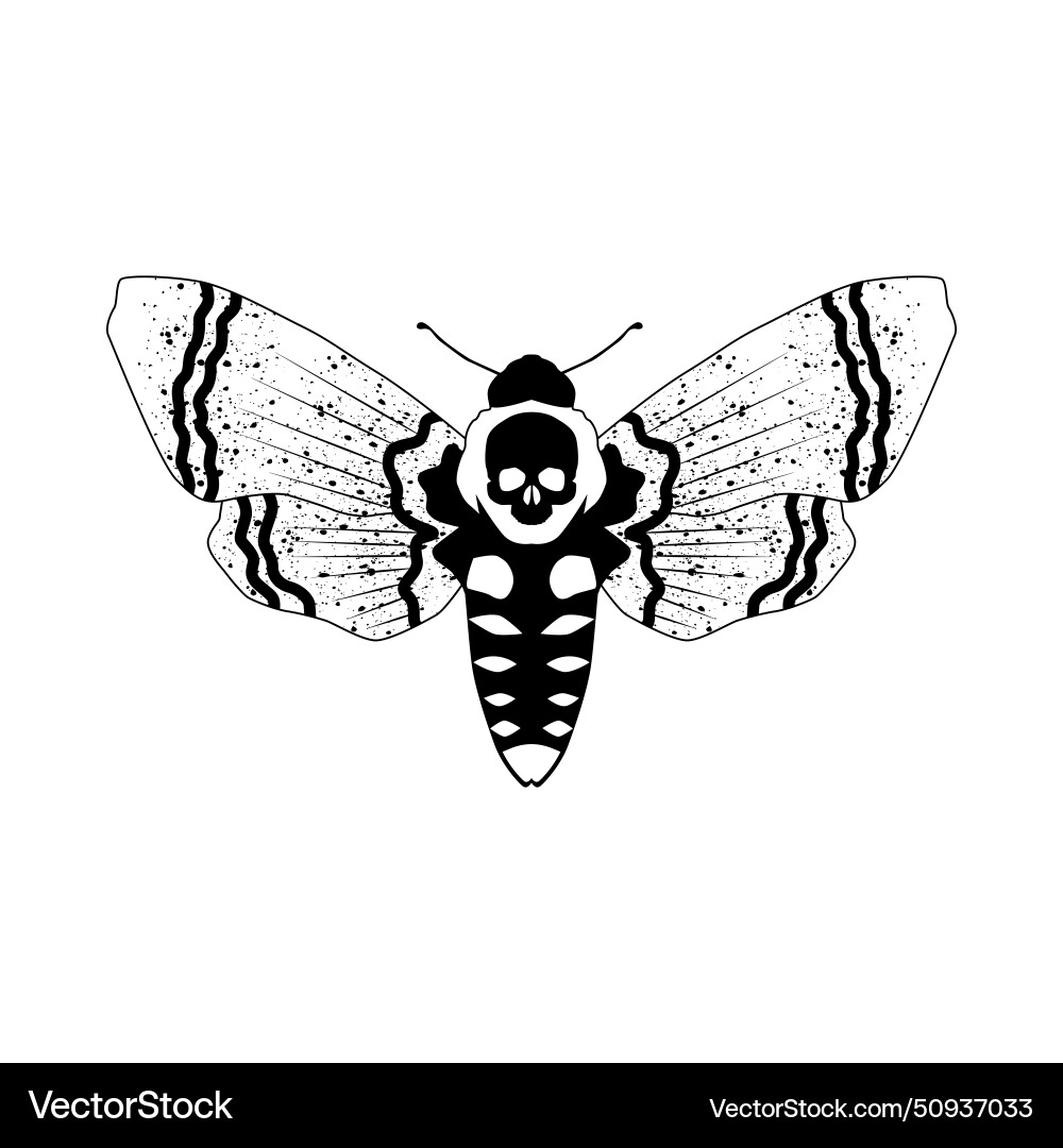 Roisterer deaths head hawk moth Royalty Free Vector Image