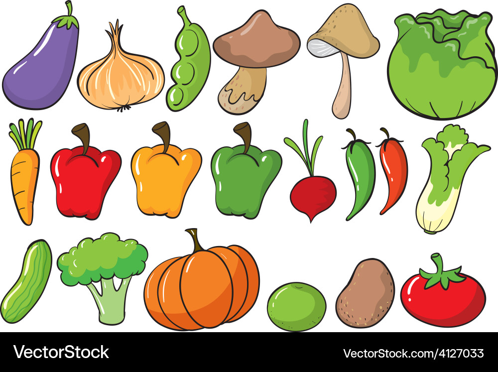 Vegetables Royalty Free Vector Image - VectorStock
