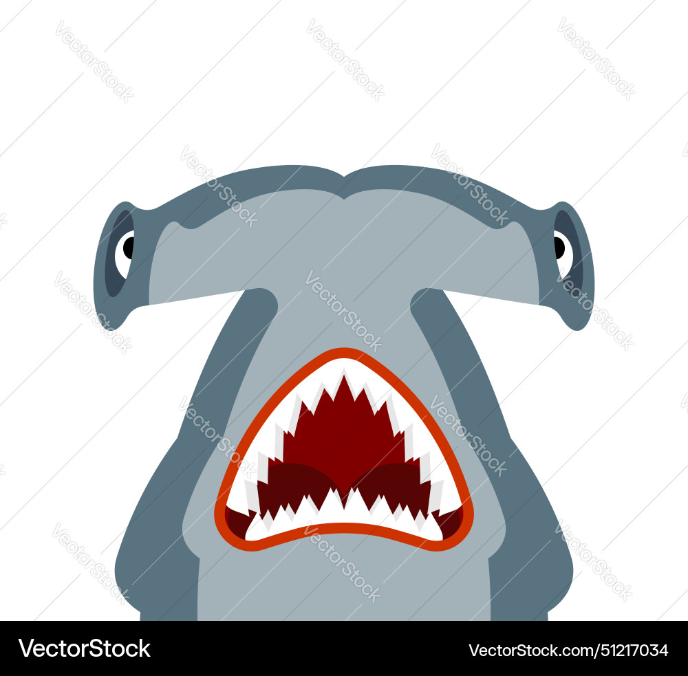 Hammerhead shark head isolated fish hammer face Vector Image