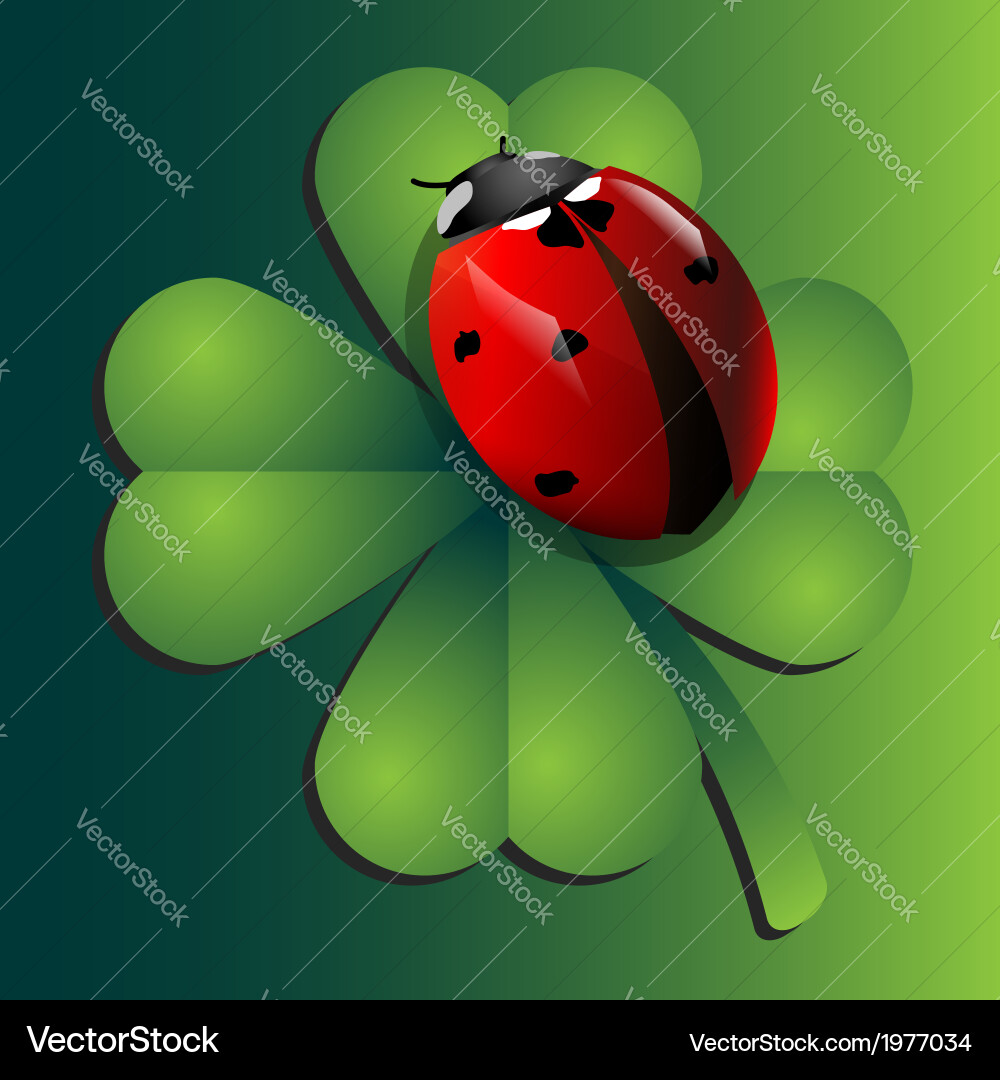 Ladybug on clover Royalty Free Vector Image - VectorStock